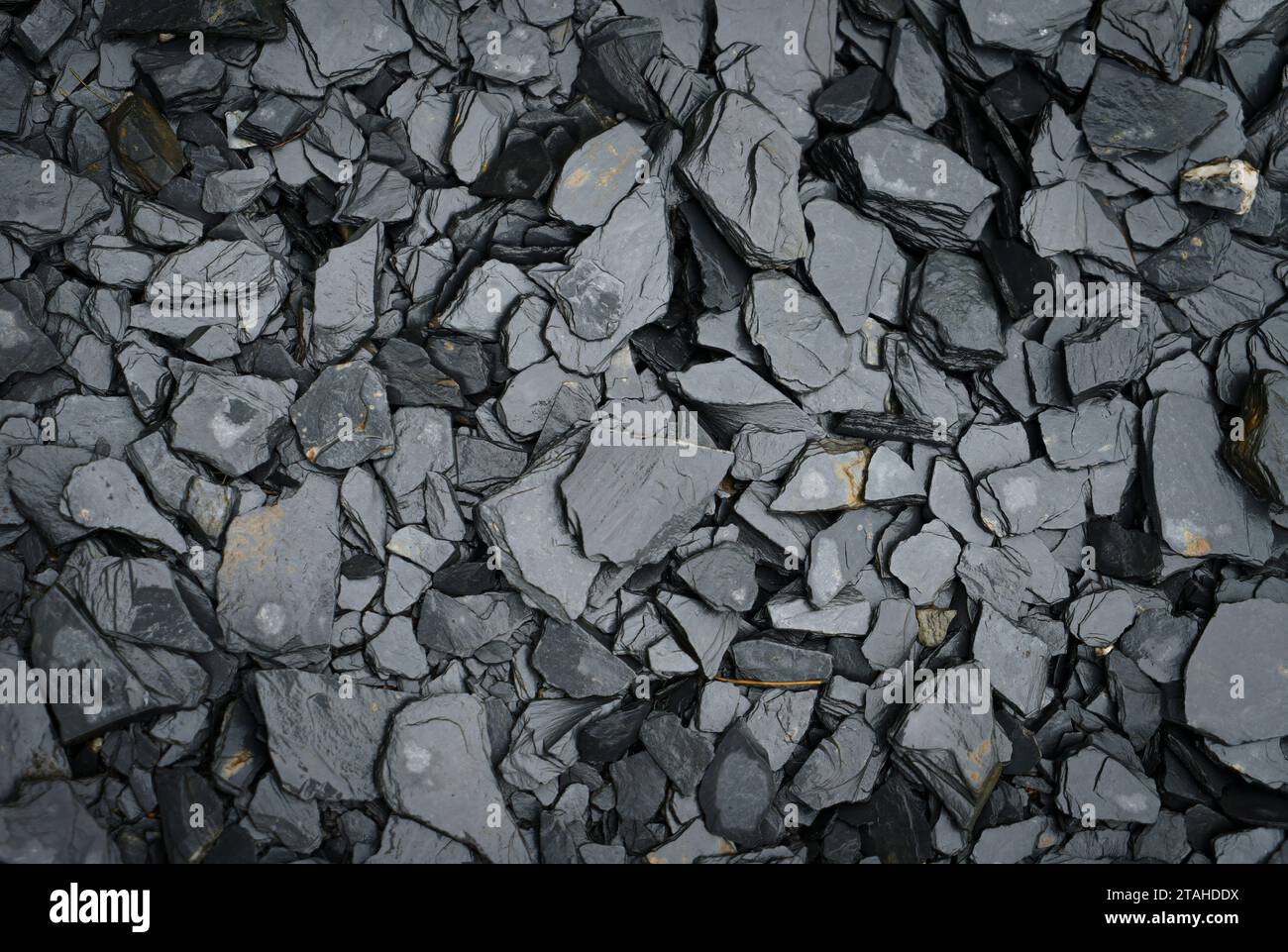 Set of textured and water-wet black rocks in a garden Stock Photo - Alamy