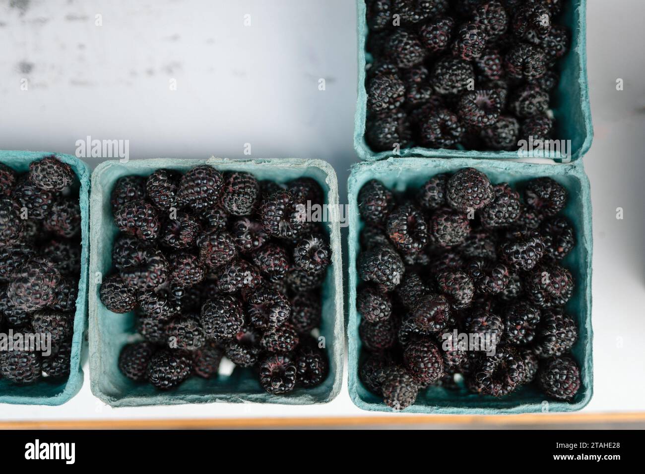 Black raspberries in pint containers at local farmer’s market Stock ...
