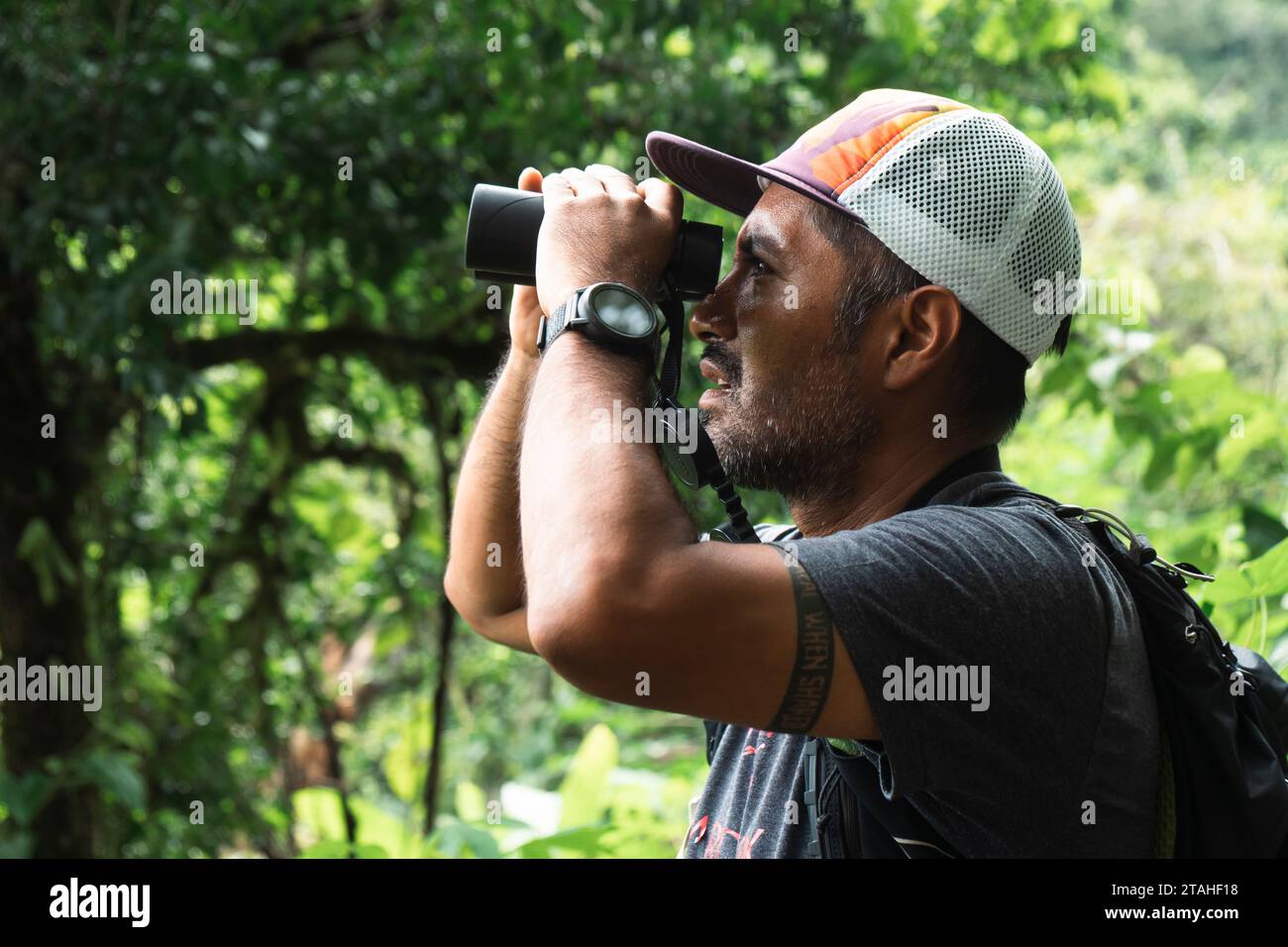 One man wearing a cap, birdwatching with binoculars in a rainforest ...