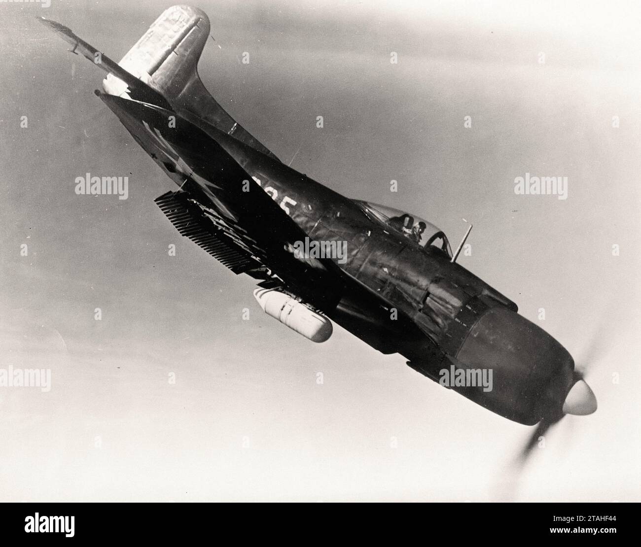 Mauler hi-res stock photography and images - Alamy