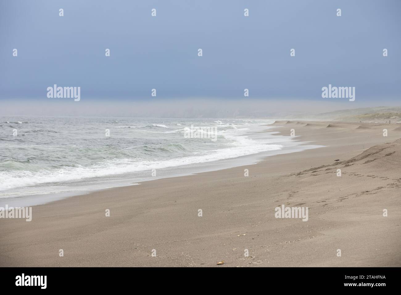 A beach at Point Reyes National Seashore Stock Photo - Alamy