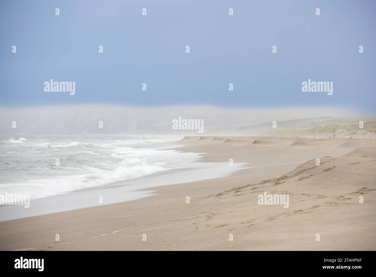 A beach at Point Reyes National Seashore Stock Photo - Alamy