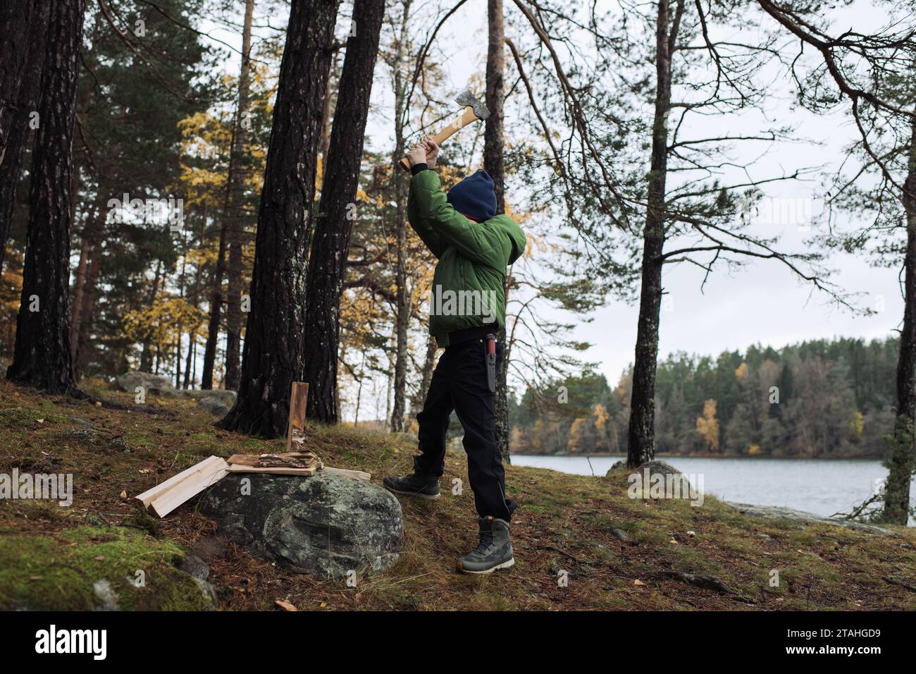 kid chopping fire wood in the forest Stock Photo - Alamy