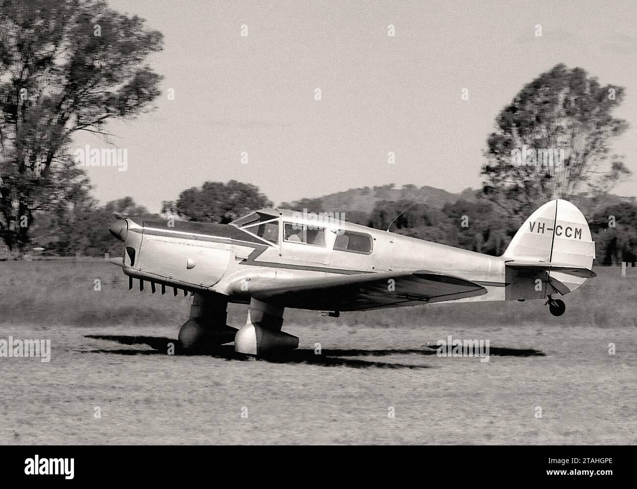 Percival gull six hi-res stock photography and images - Alamy
