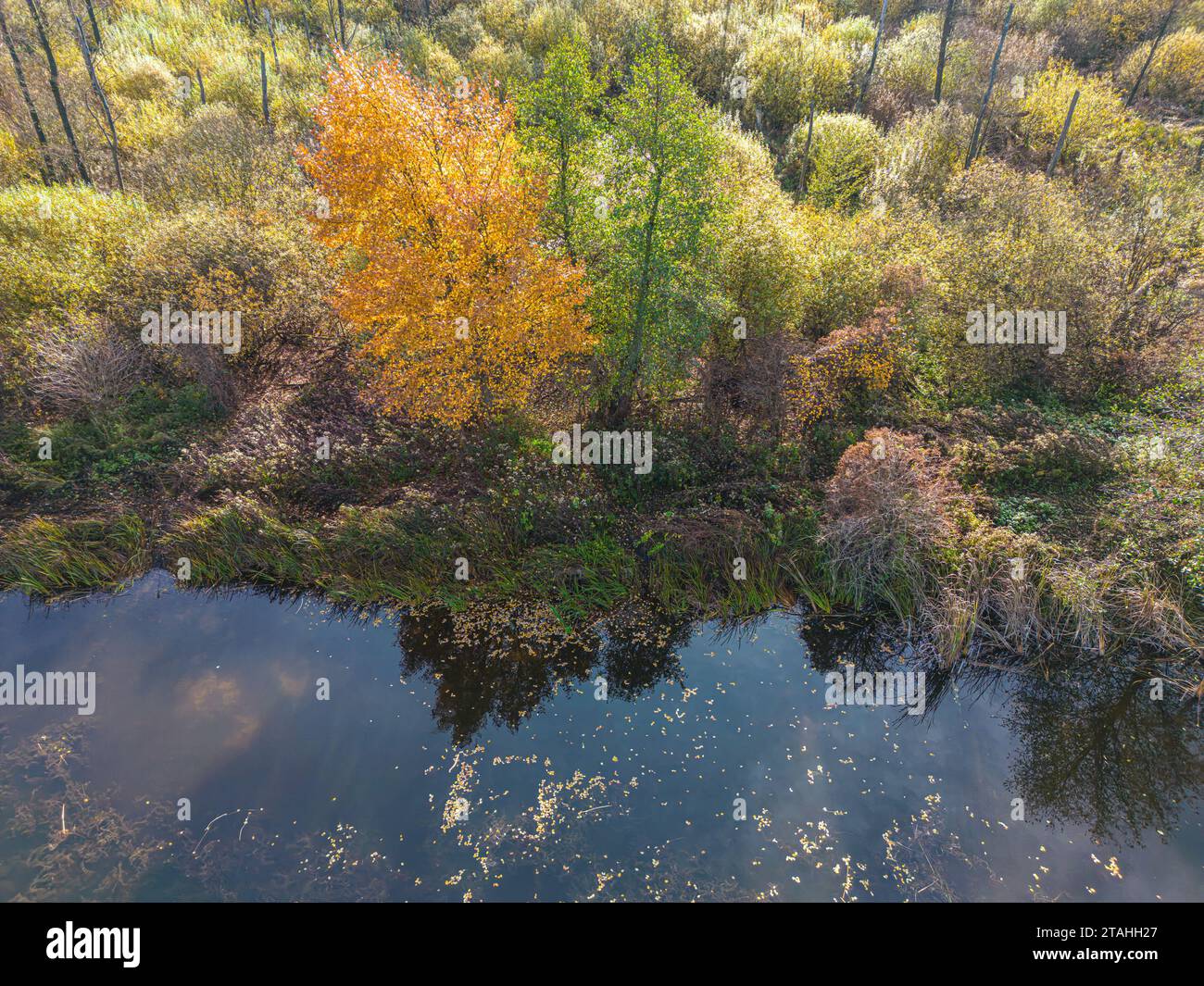 Aerial view of beautiful smooth green waters of a lake on a sunn Stock ...