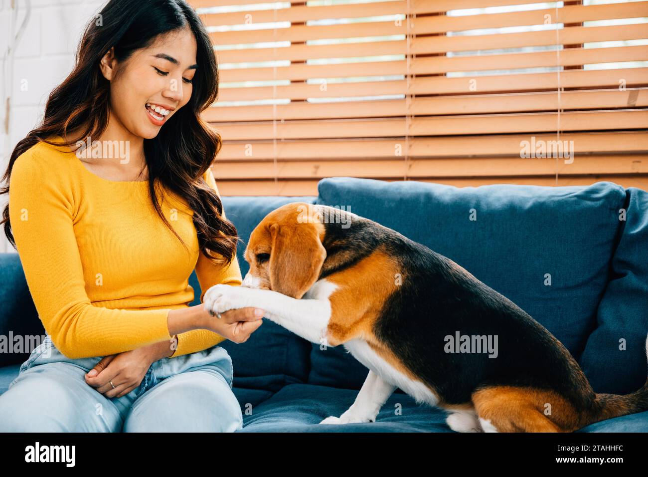 In their cozy house, a woman and her Beagle dog create a delightful portrait of loyalty and ...