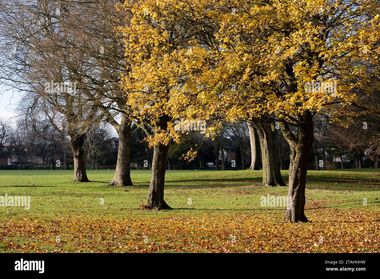 Summerfield Park, Birmingham, West Midlands, England, UK Stock Photo ...