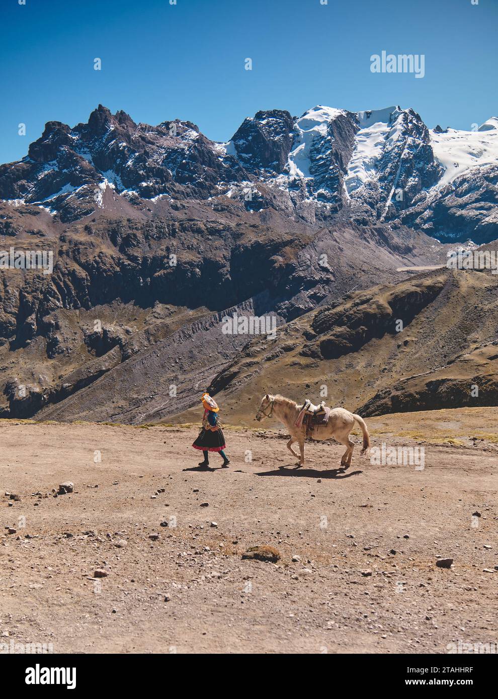 Animals That Coexist