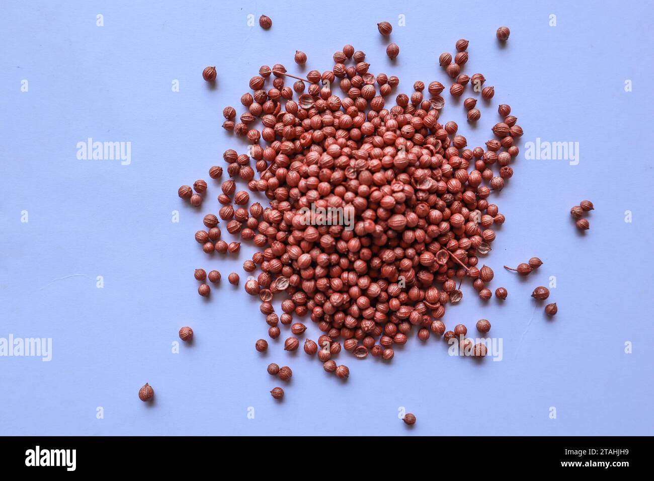 Coriundrum hi-res stock photography and images - Alamy