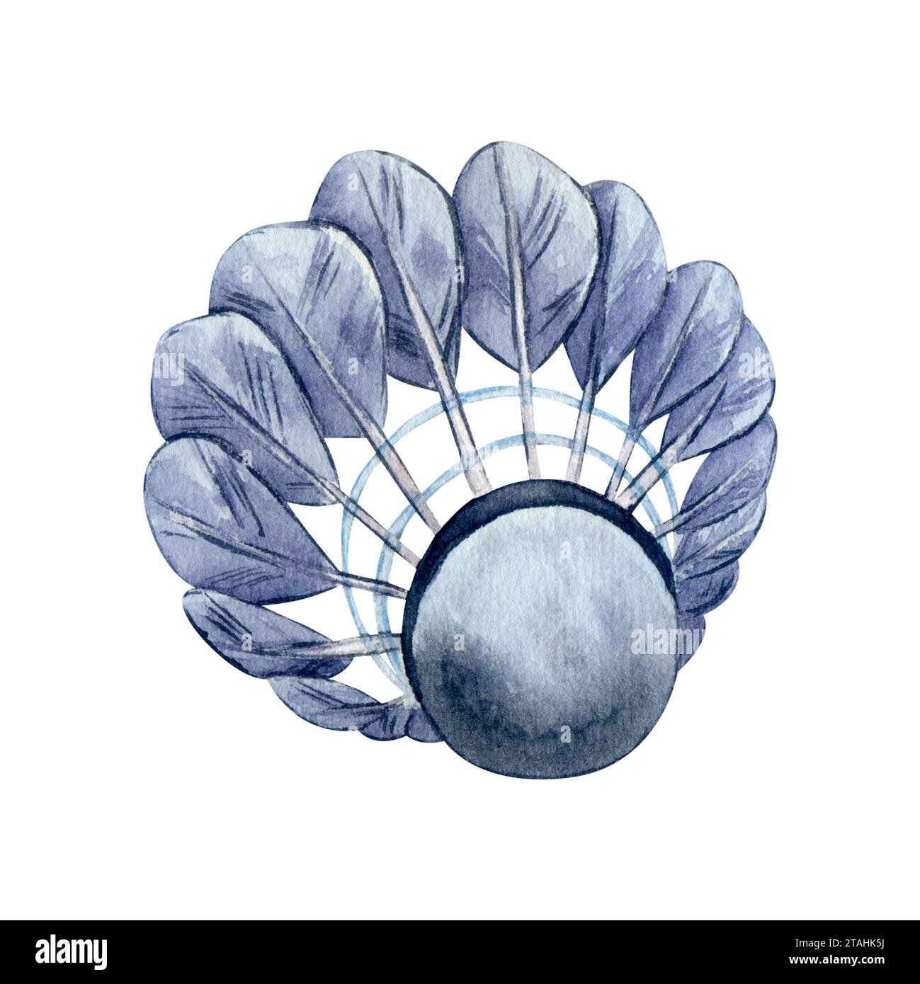 Badminton shuttlecock drawn in watercolor isolated on a white ...