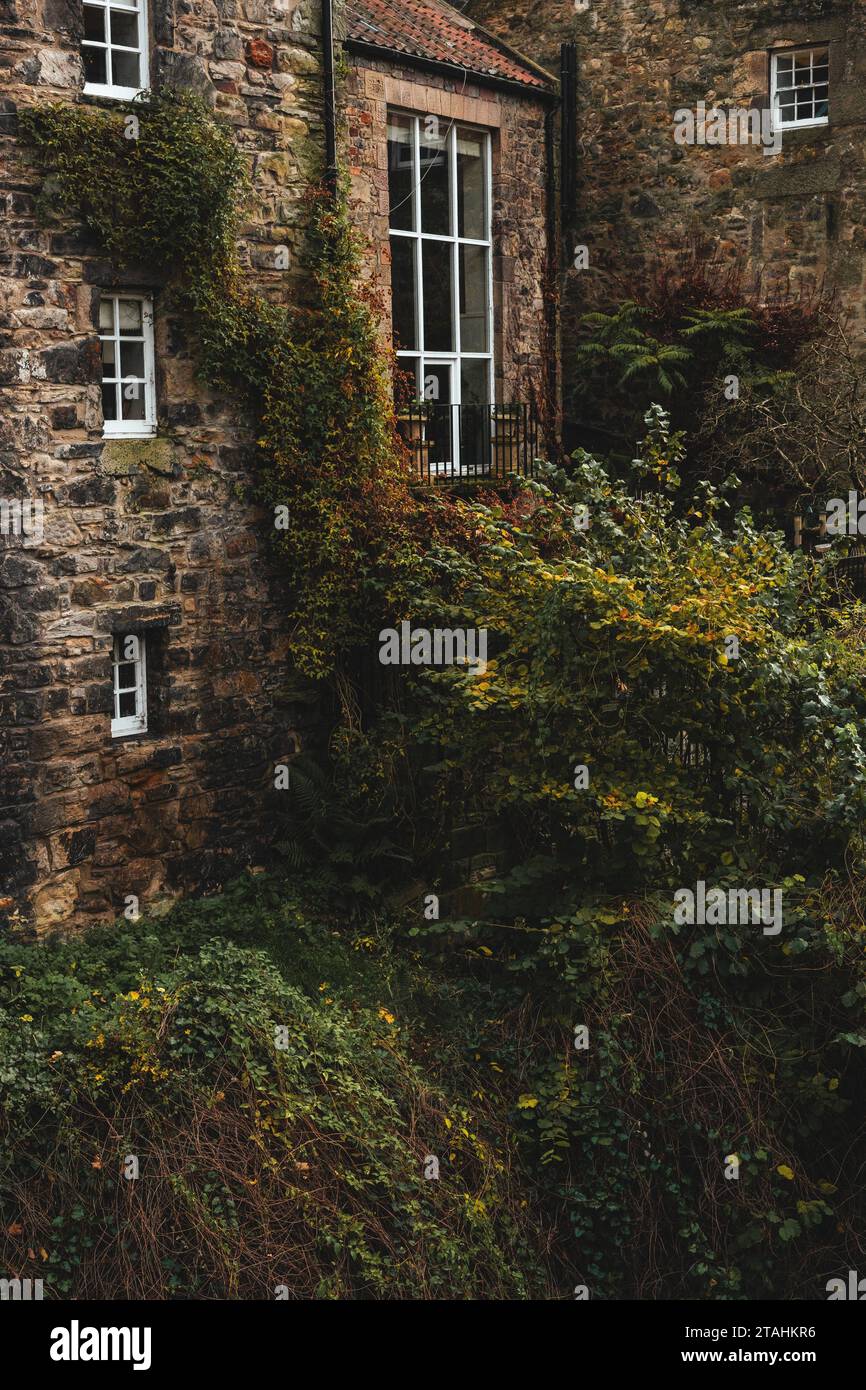 An old house is surrounded by lush vegetation, with vines and plants ...