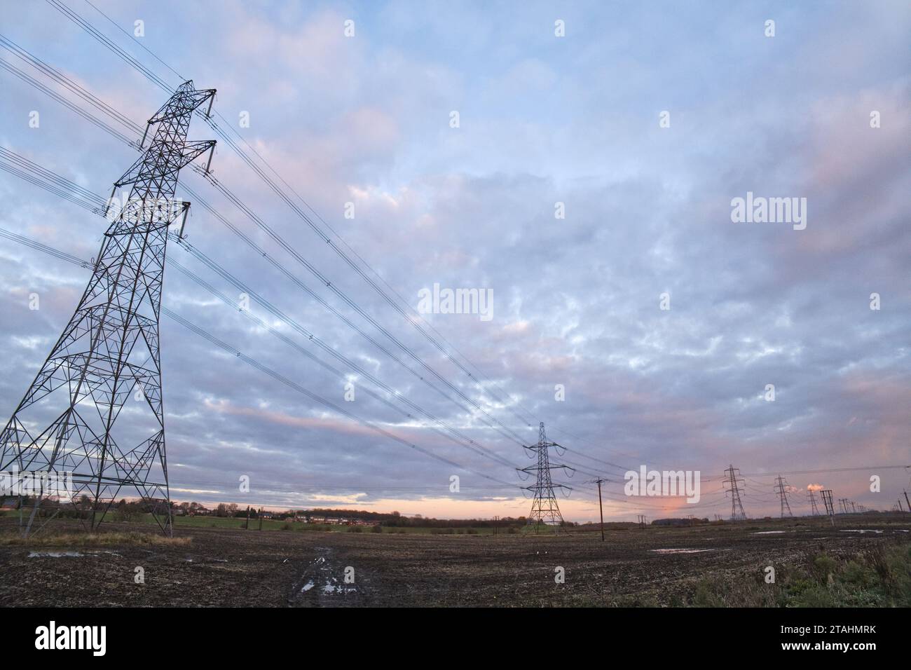 Wide angle of electrical power lines at dusk with a blue and pink sky. The lines lead away ...