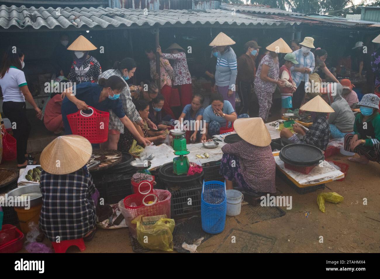 The daily fish market in Cu Mong lagoon , Phu Yen Stock Photo - Alamy