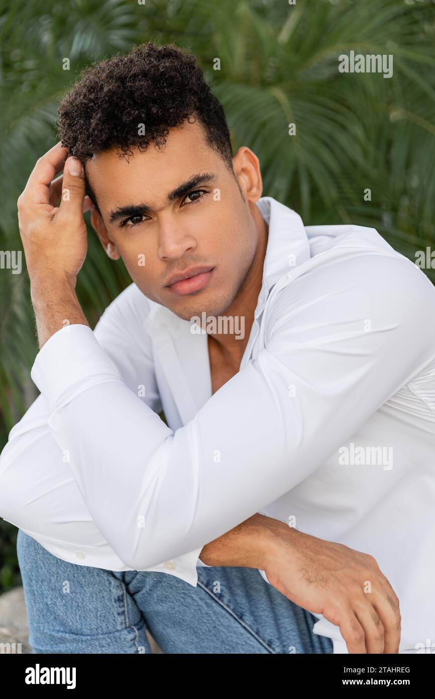 Portrait of cuban man with curly hair posing in white shirt near palm ...