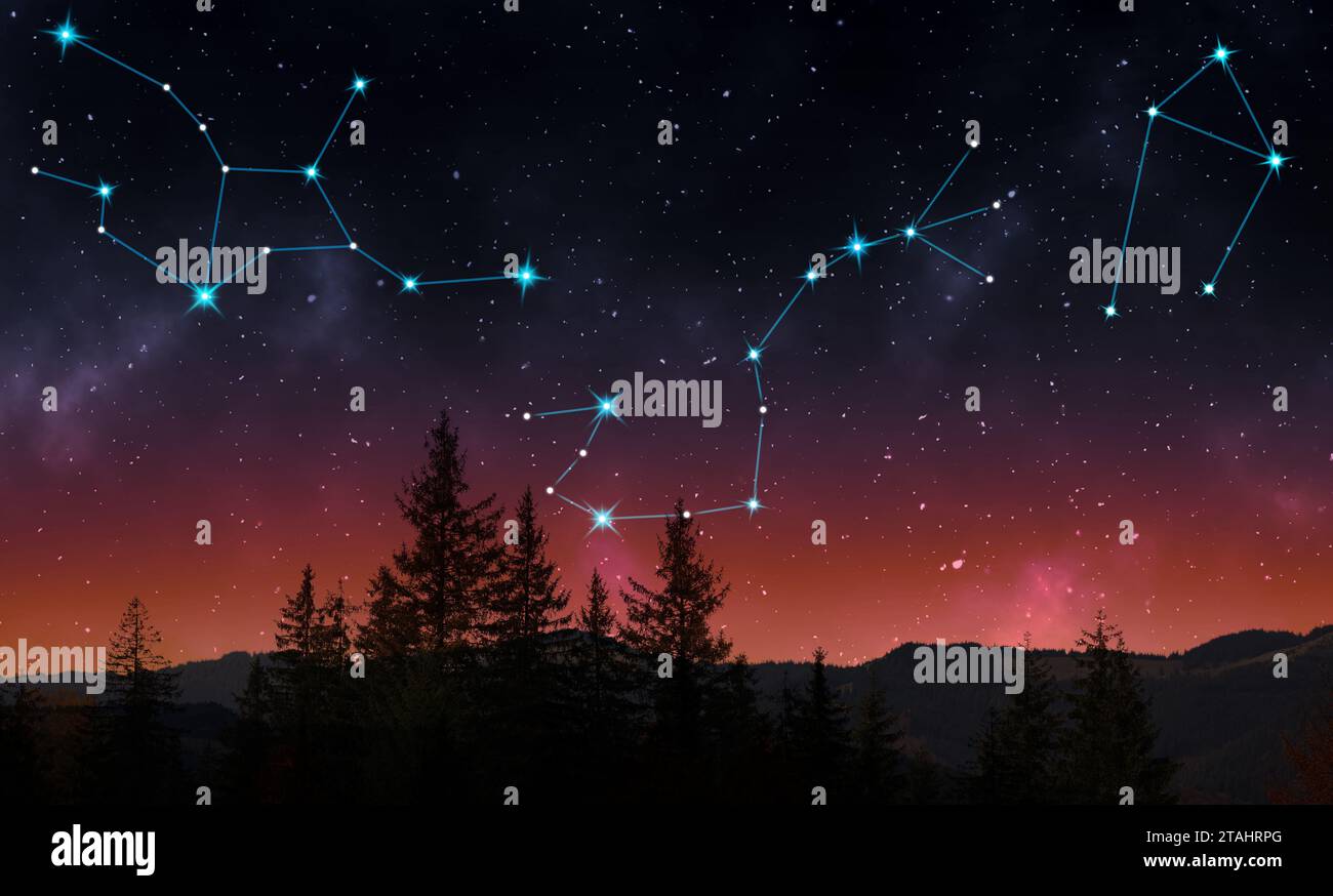 Different constellations in starry sky over forest at night Stock Photo ...