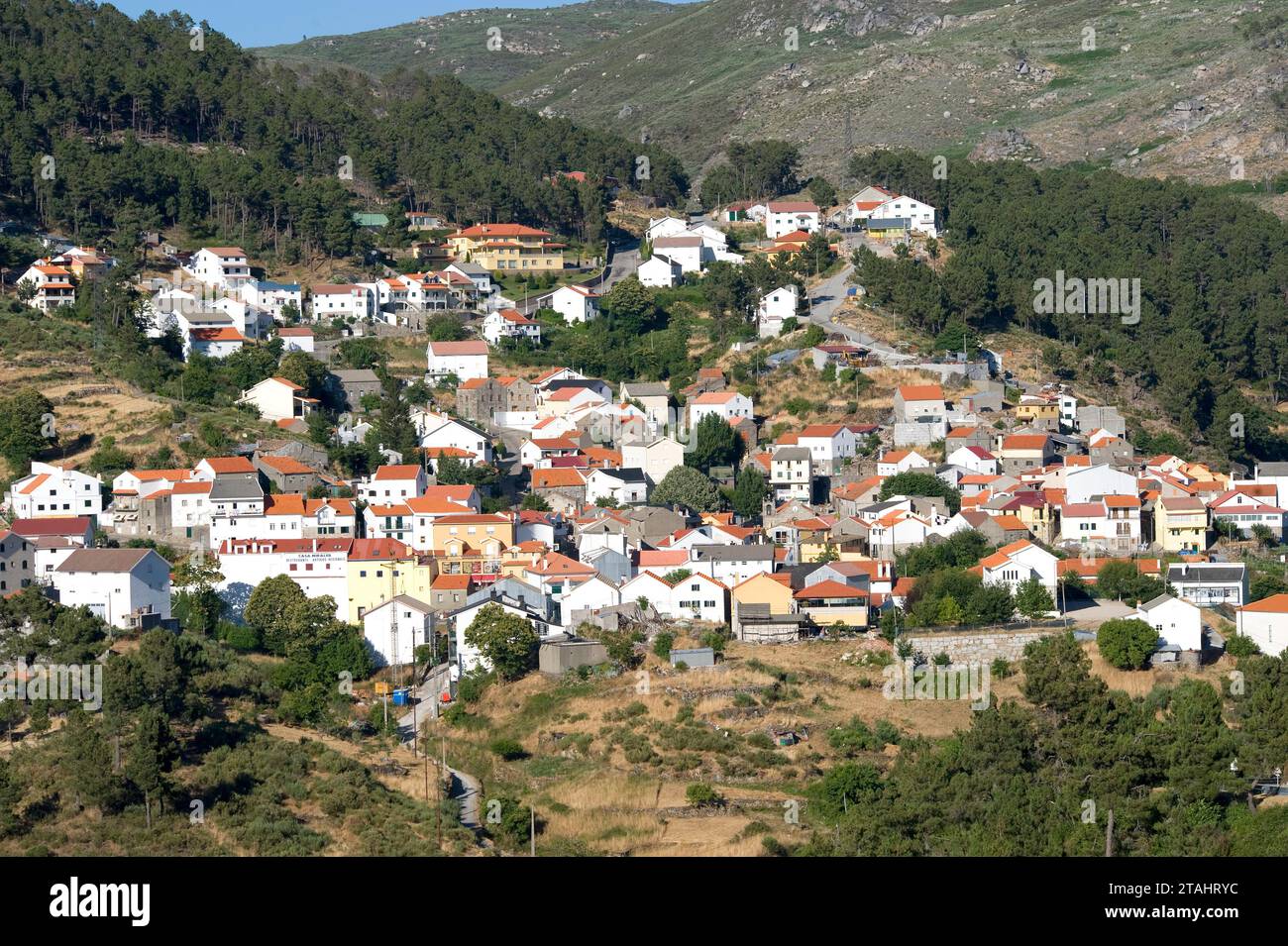 Sabigueiro hi-res stock photography and images - Alamy