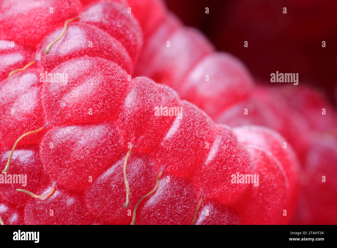 Texture of fresh ripe raspberry, macro view Stock Photo - Alamy