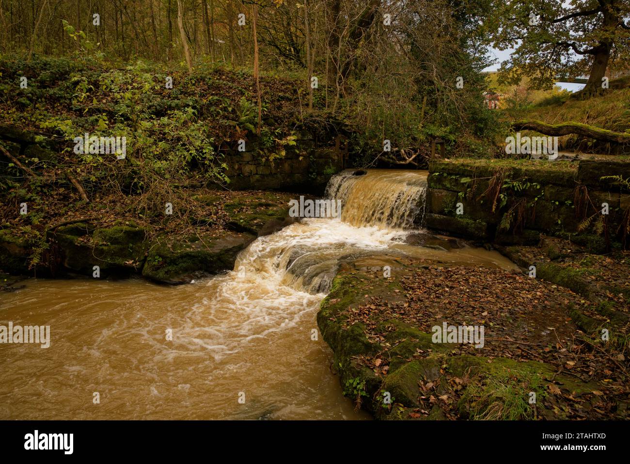 Waterfall on the Dearden Brook, Edenfield, Lancashire Stock Photo - Alamy