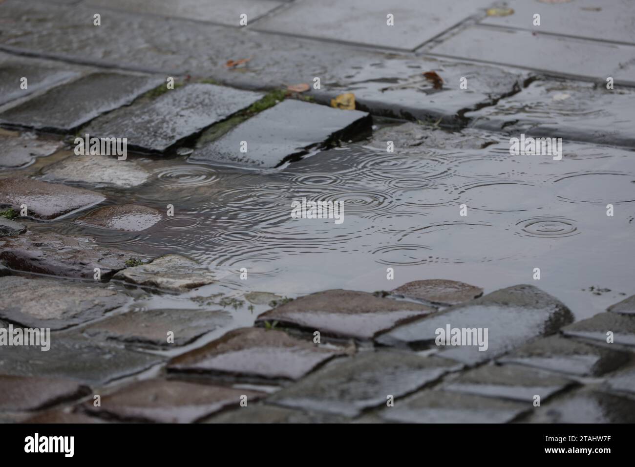 Puddle on pavement hi-res stock photography and images - Alamy