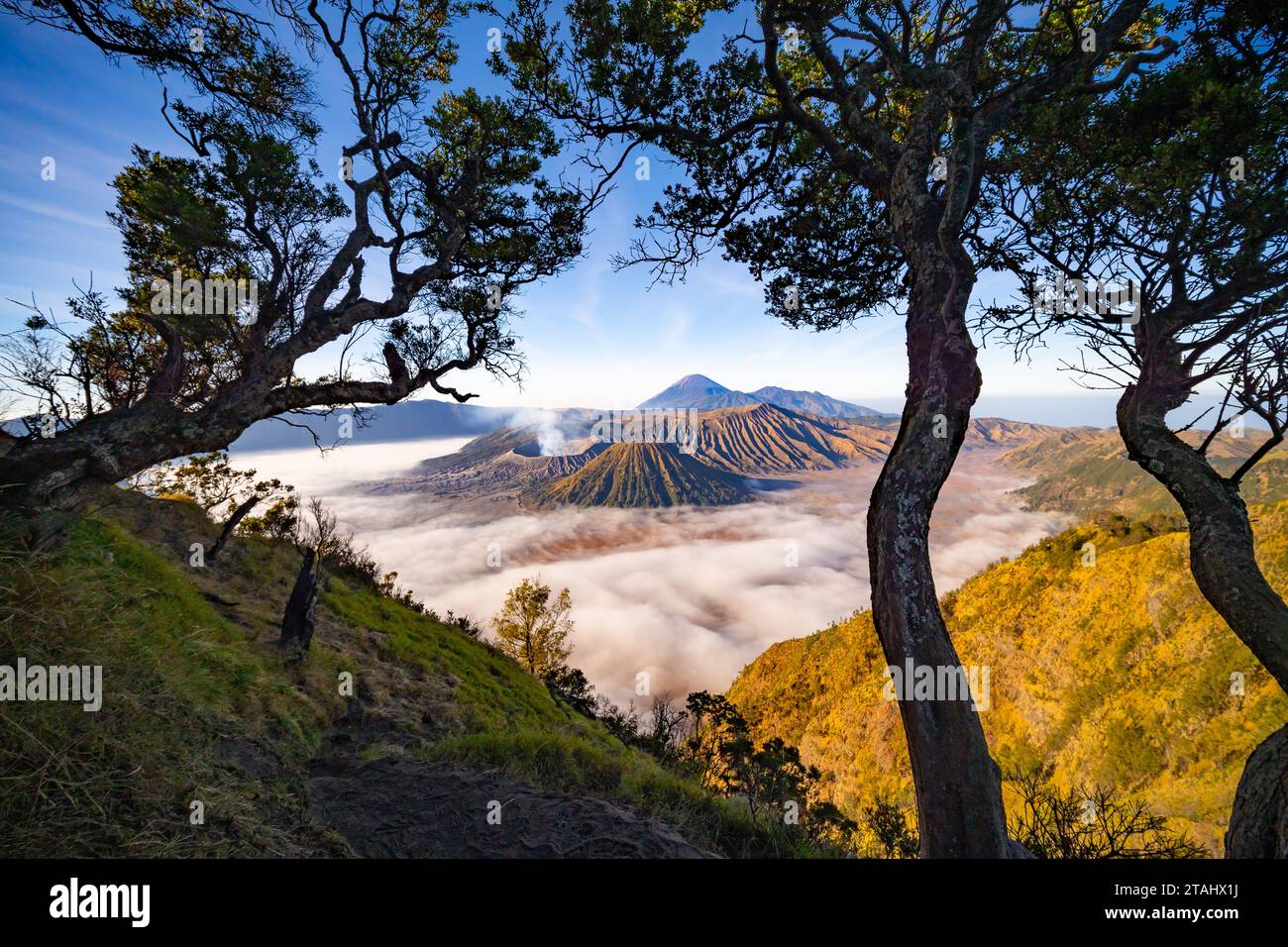 Amazing Mount Bromo volcano during sunny sky from king kong viewpoint ...