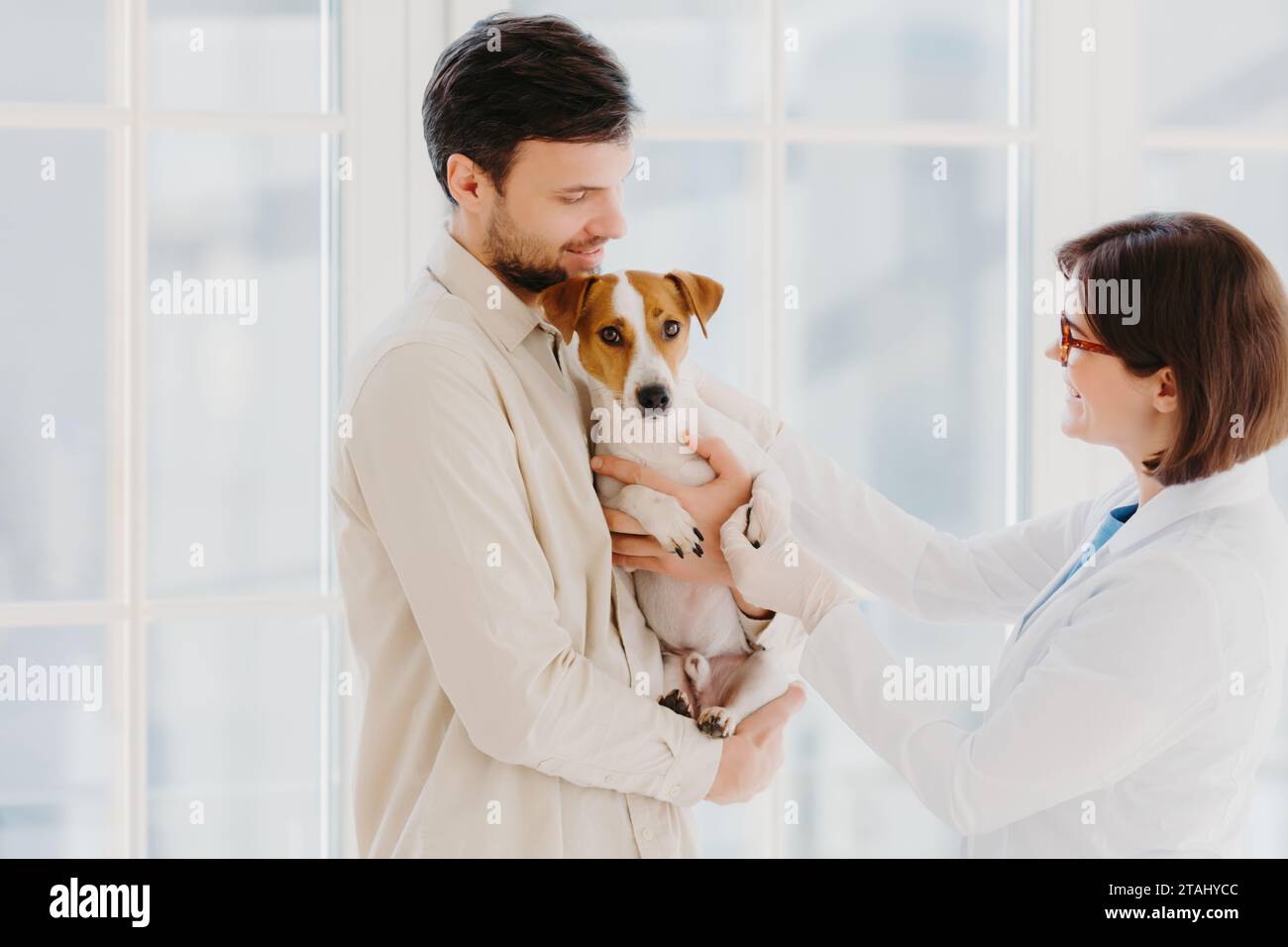 Young positive veterinarian smiling hi-res stock photography and images ...