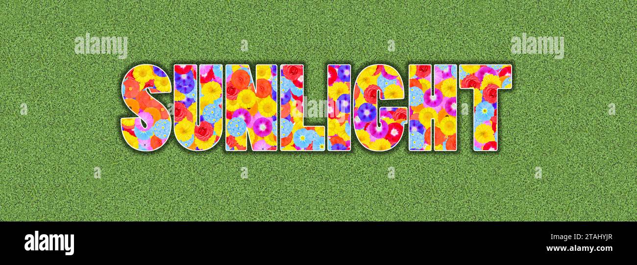 sunlight written with flowers as symbol for solar energy Stock Photo ...