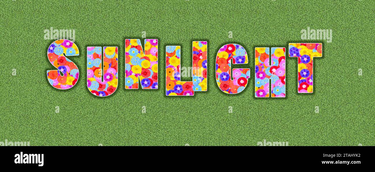 sunlight written with flowers as symbol for solar energy Stock Photo ...