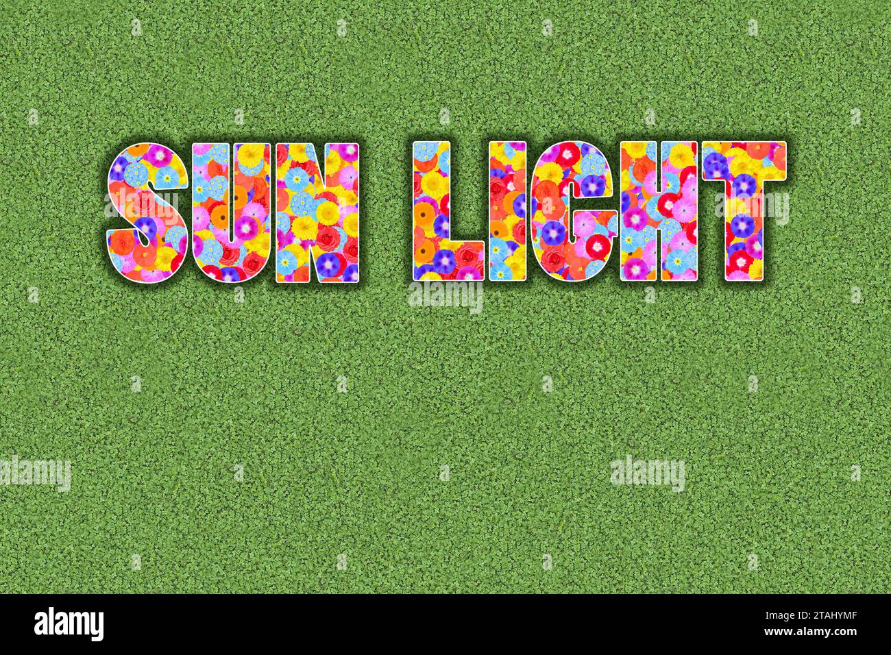 sunlight written with flowers as symbol for solar energy Stock Photo ...