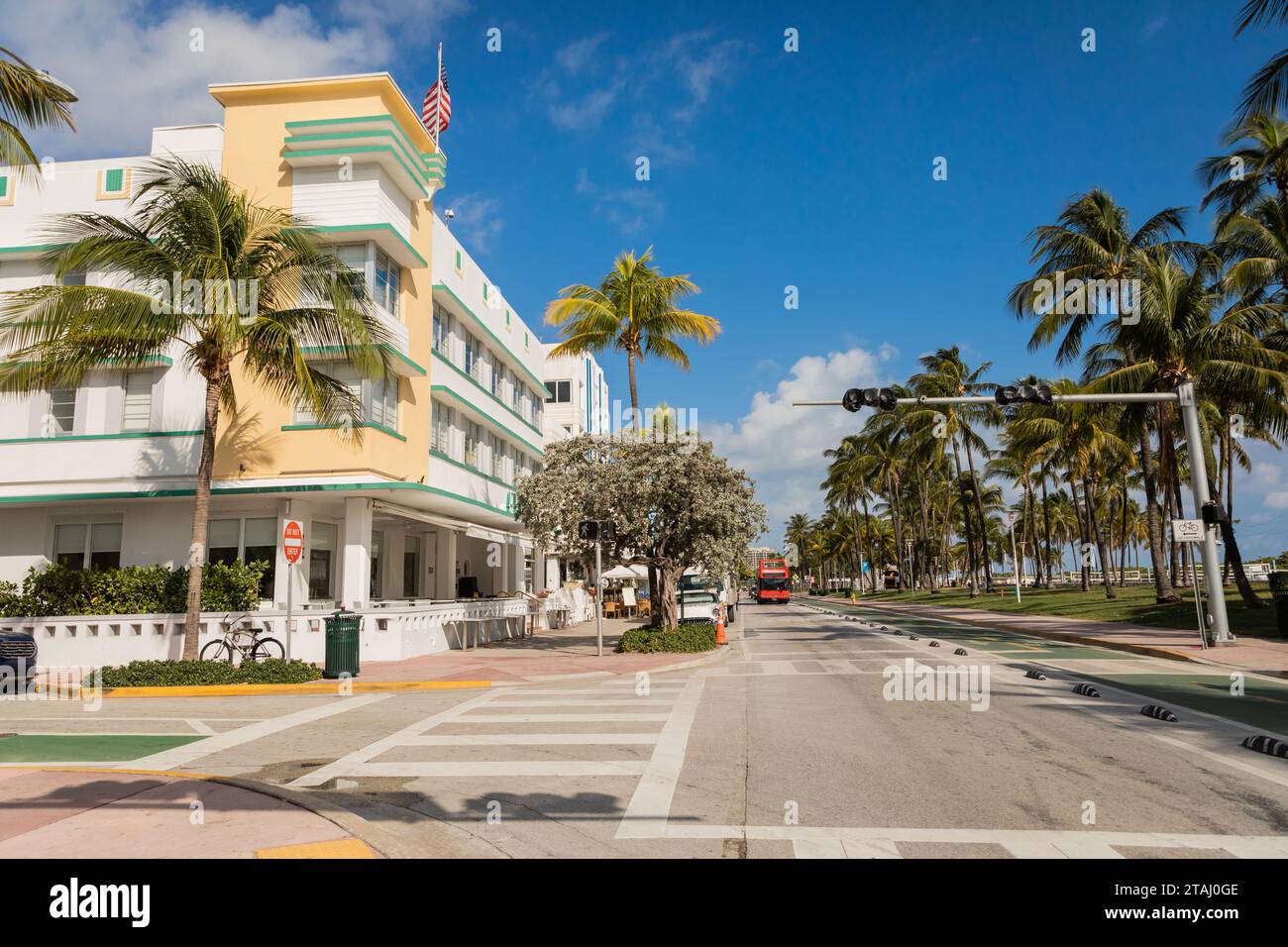 green palm trees growing next to road and modern building in Miami ...