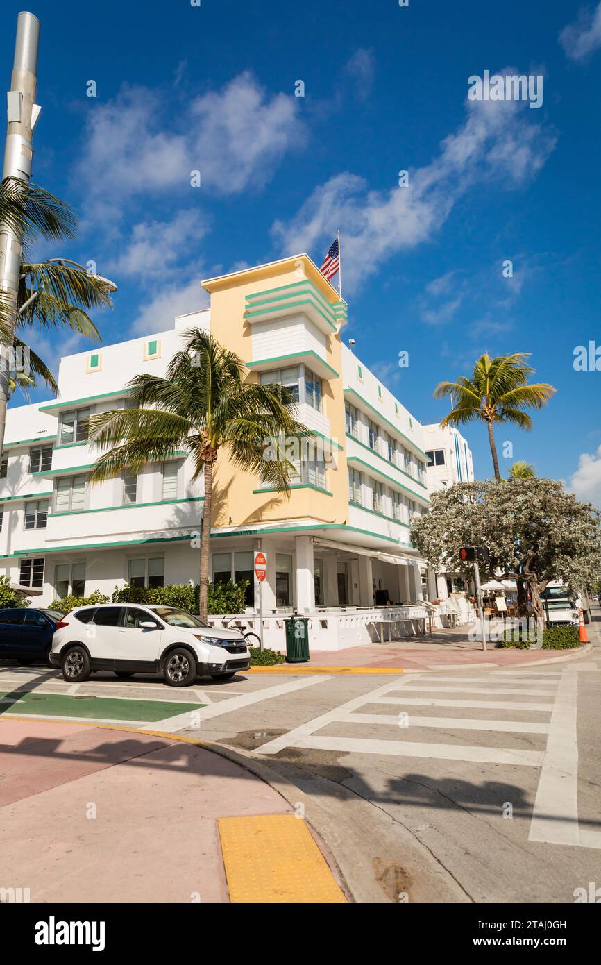 green palm trees growing next to road and modern condominium in Miami ...