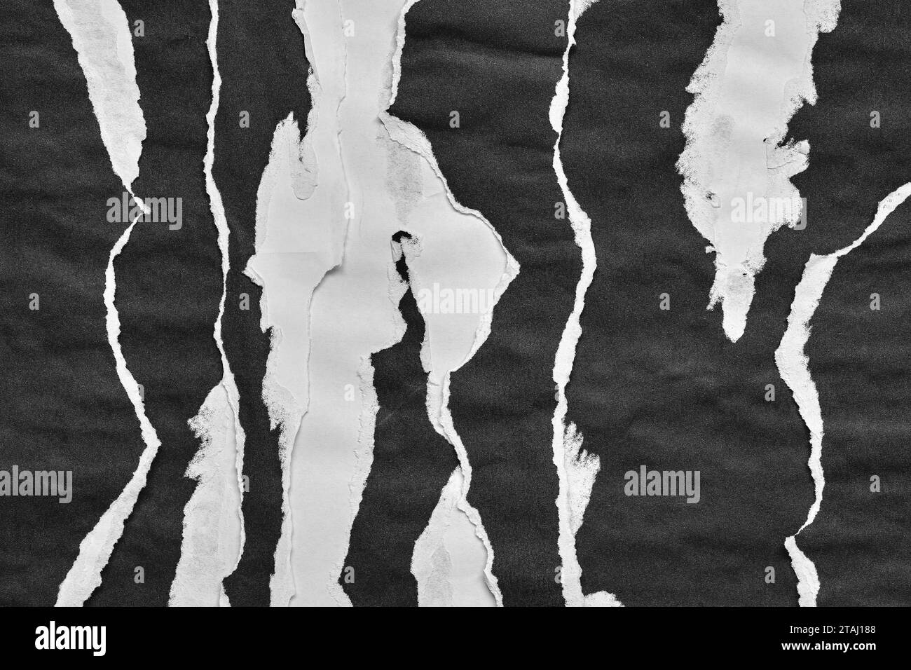 Black and White Torn Paper Collage Style, Ripped Paper Effect, Texture ...