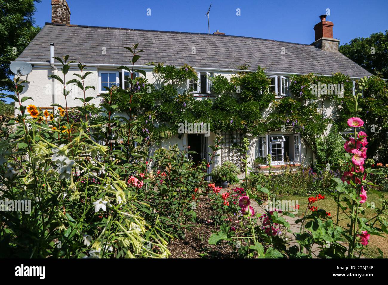 Cottage garden flowers england house hi-res stock photography and ...