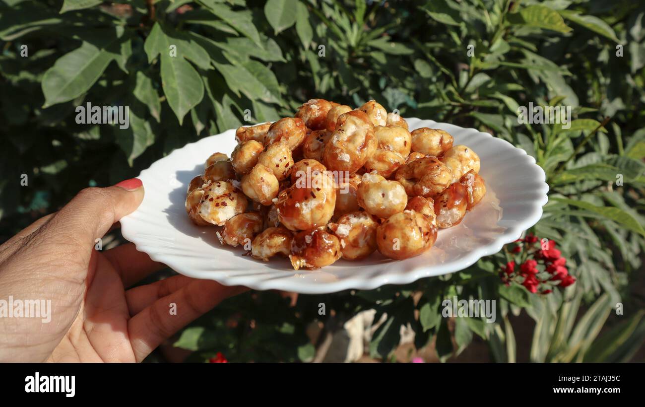 Foxnutes hi-res stock photography and images - Alamy