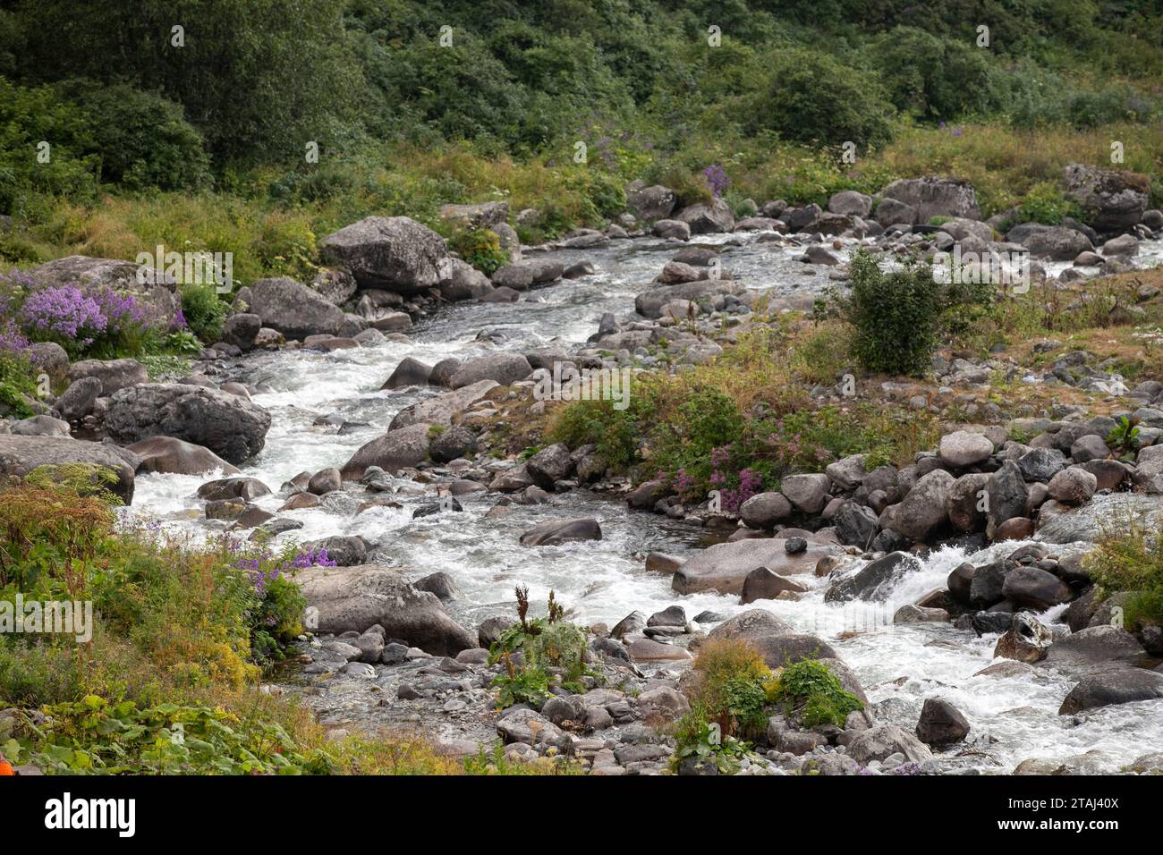 Water flows among the stones. Flow of water and stones. Stones in ...