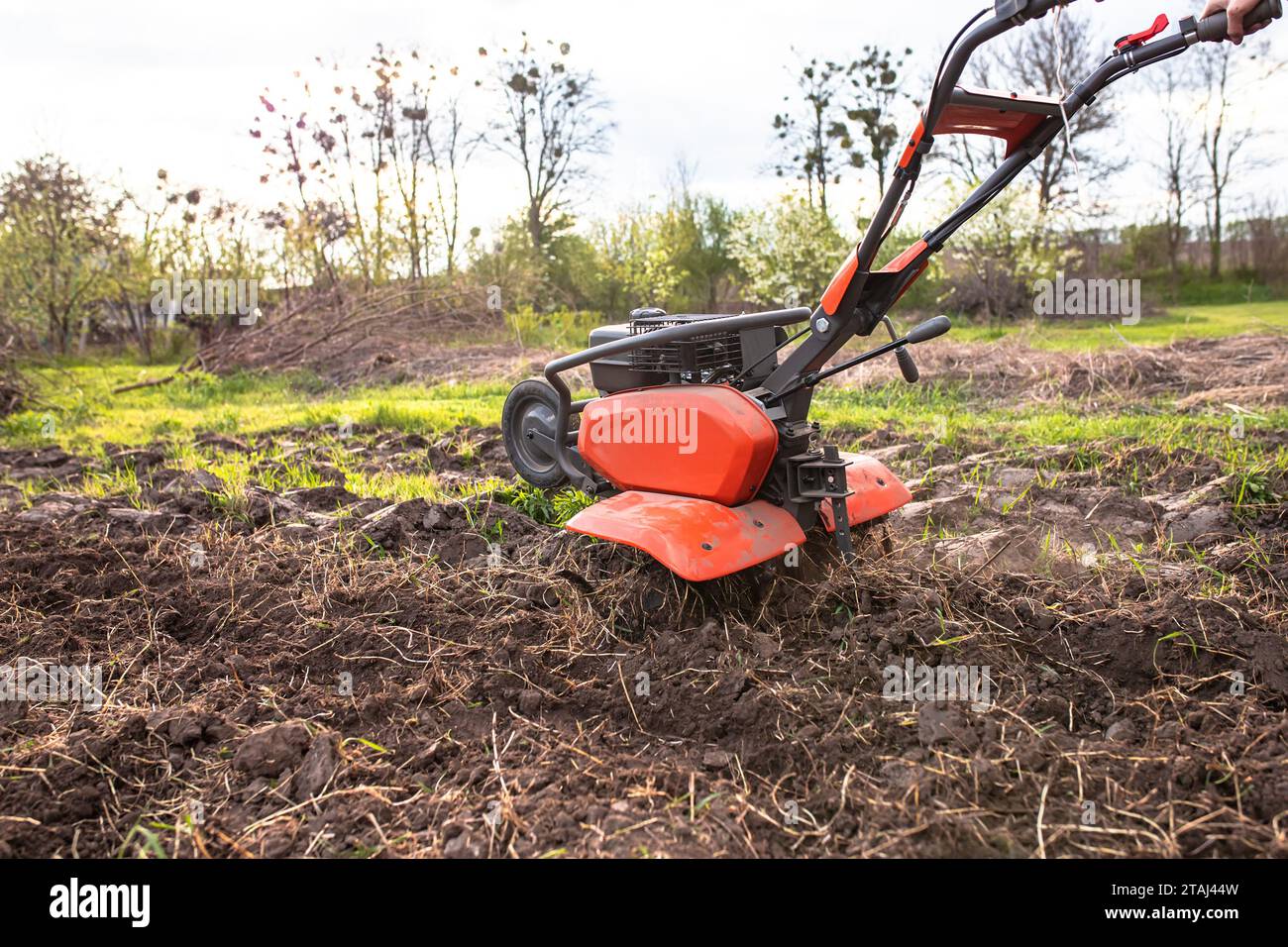 Motor cultivator with a raised front wheel and a furrow inserted into ...
