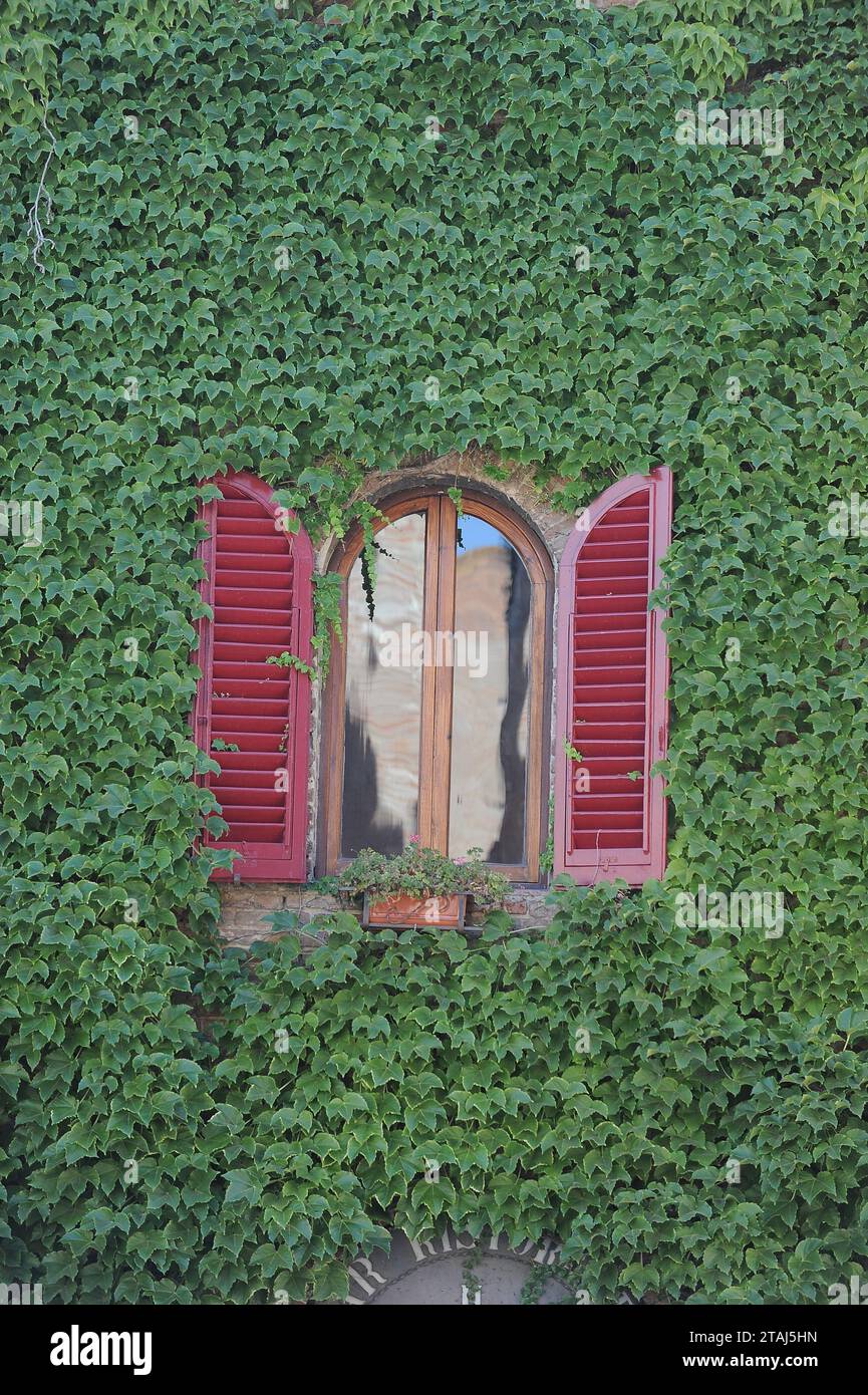 Red ivy on building hi-res stock photography and images - Alamy