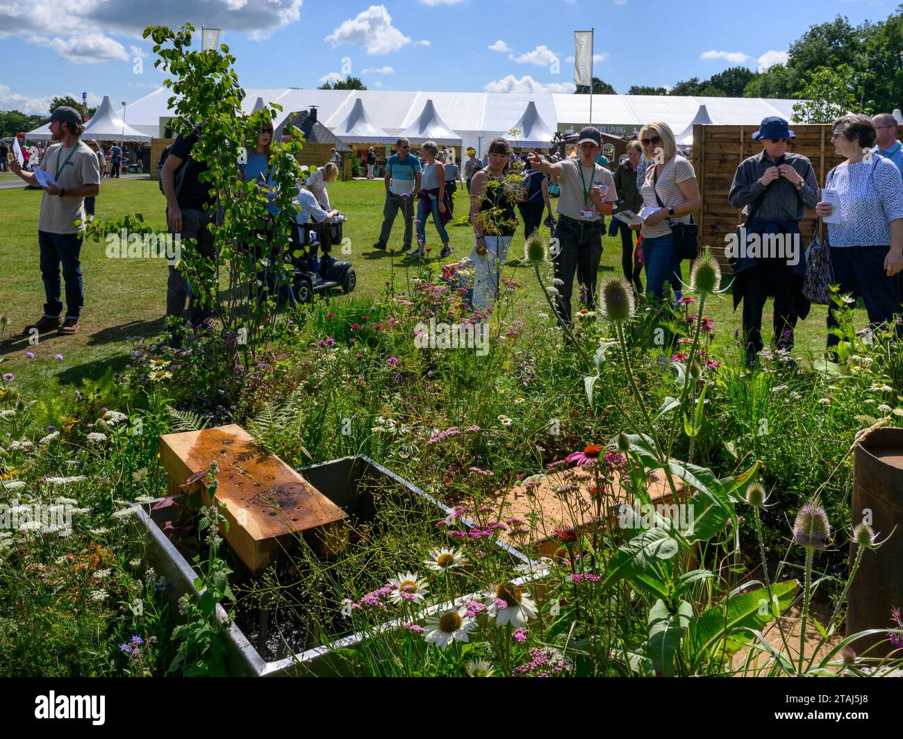 Elements urban terrace garden competition entry (herbaceous perennials, low bespoke bench) - RHS ...