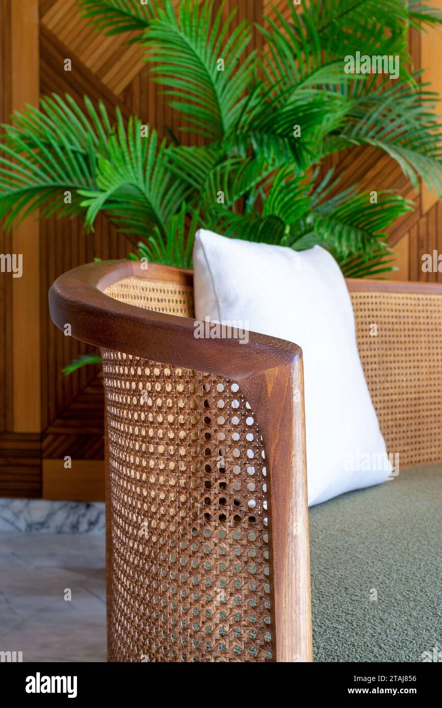 A modern cozy wicker couch with a white pillow and a palm tree in the ...