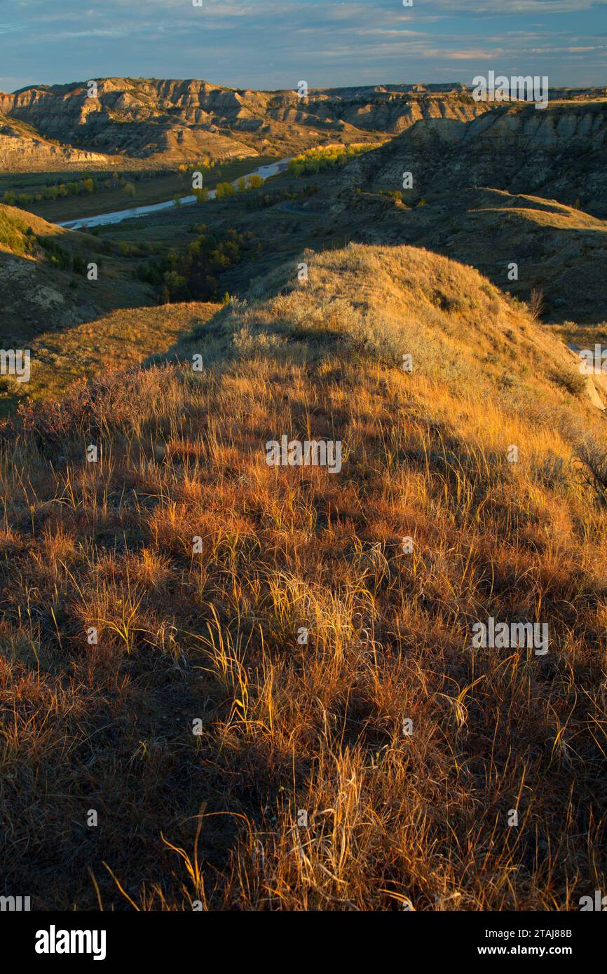 Prairie grassland with Little Missouri River, Theodore Roosevelt ...