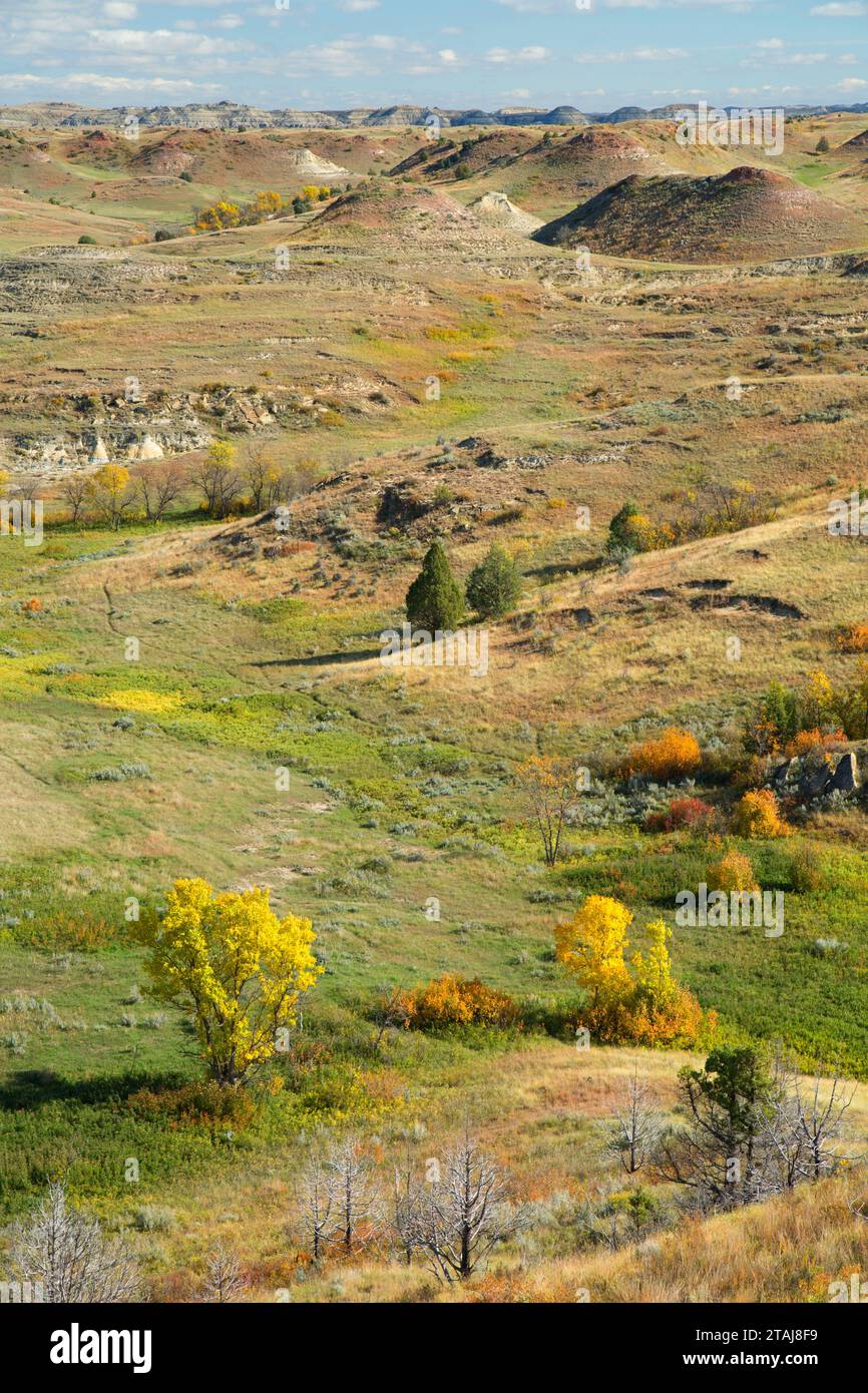 Prairie badlands, Theodore Roosevelt National Park-South Unit, North ...