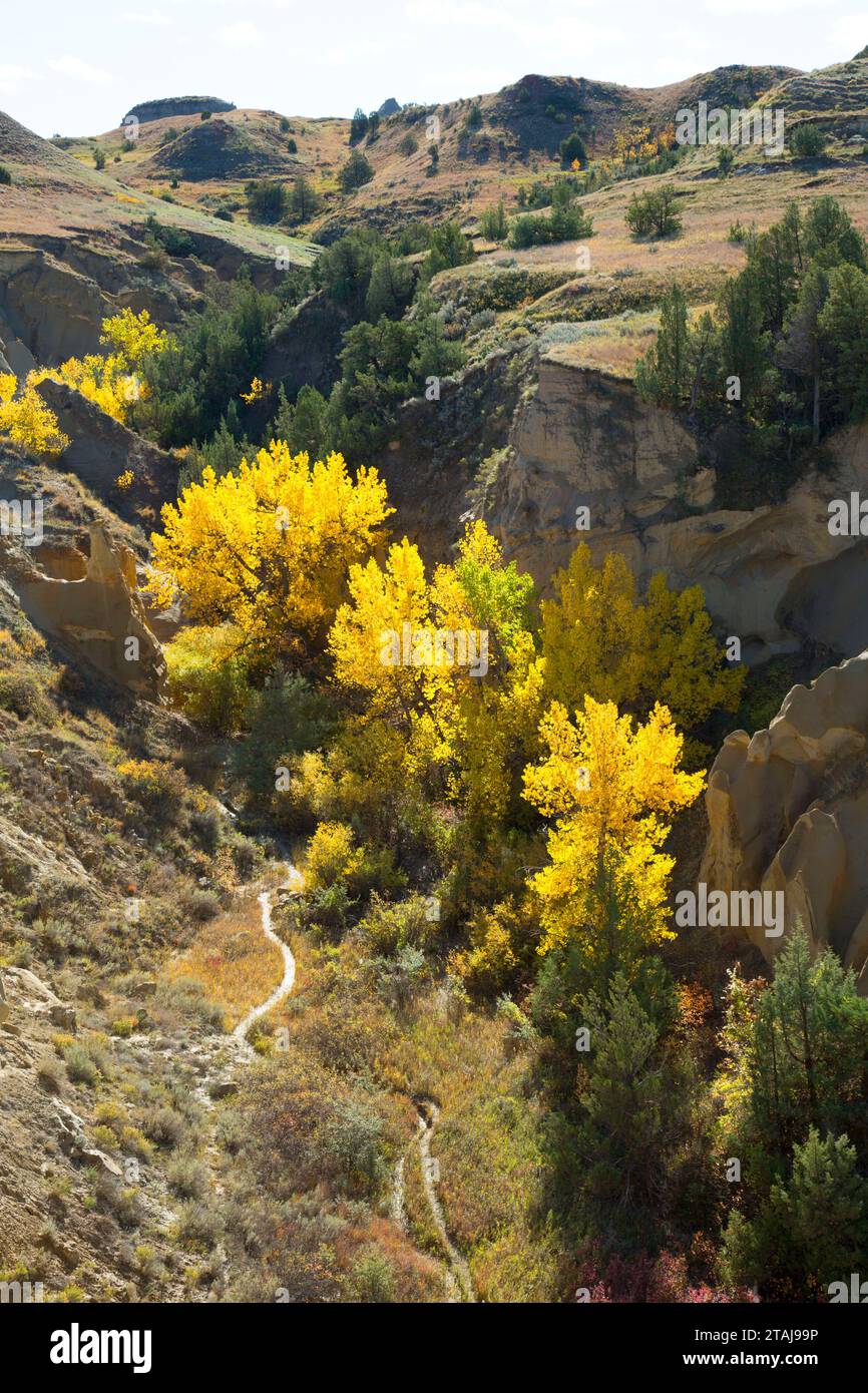 Cottonwoods south dakota hi-res stock photography and images - Alamy