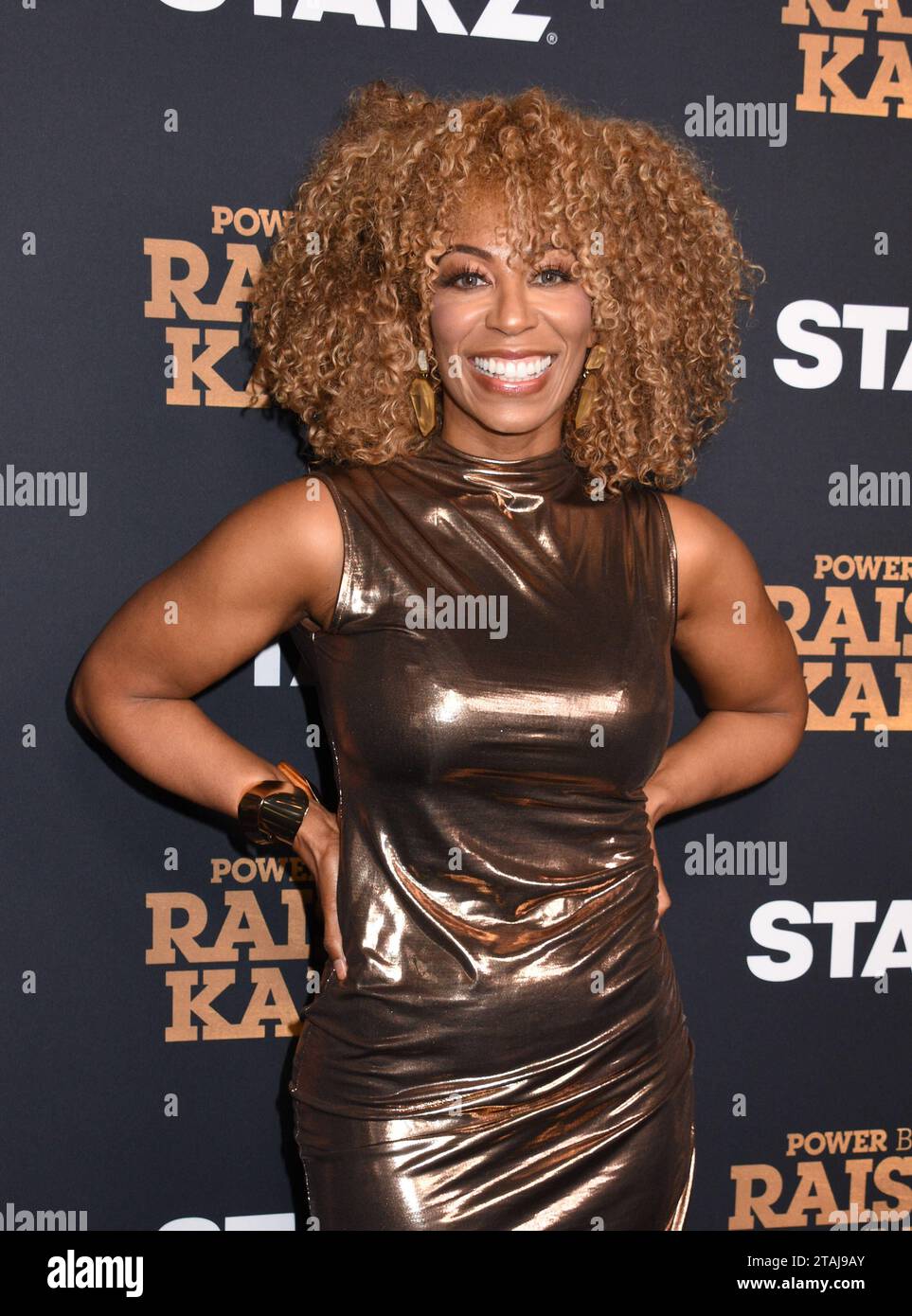 NEW YORK, NY-NOVEMBER 30: RaVal Davis at the NY premiere of STARZ Power ...