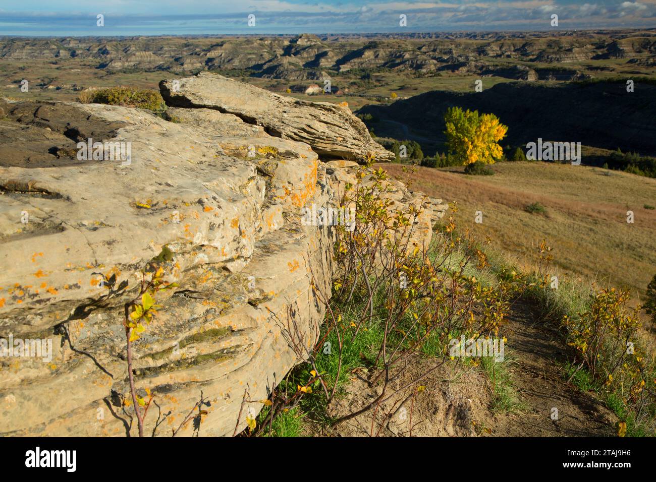 View from Buck Hill, Theodore Roosevelt National Park-South Unit, North ...