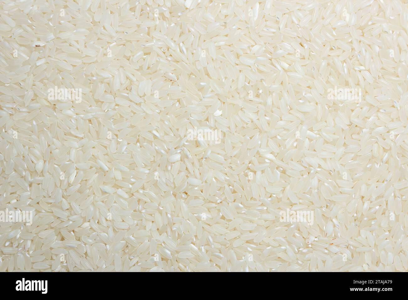 Dry Uncooked White Rice Background - Top View, Flat Lay. Scattered Raw ...