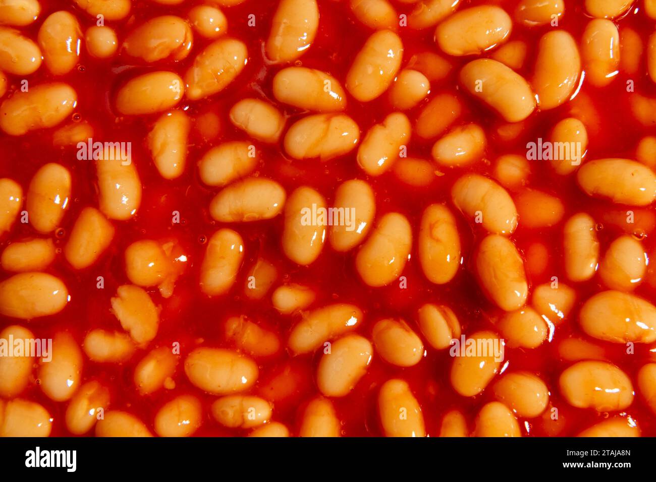 Baked beans macro Stock Photo - Alamy