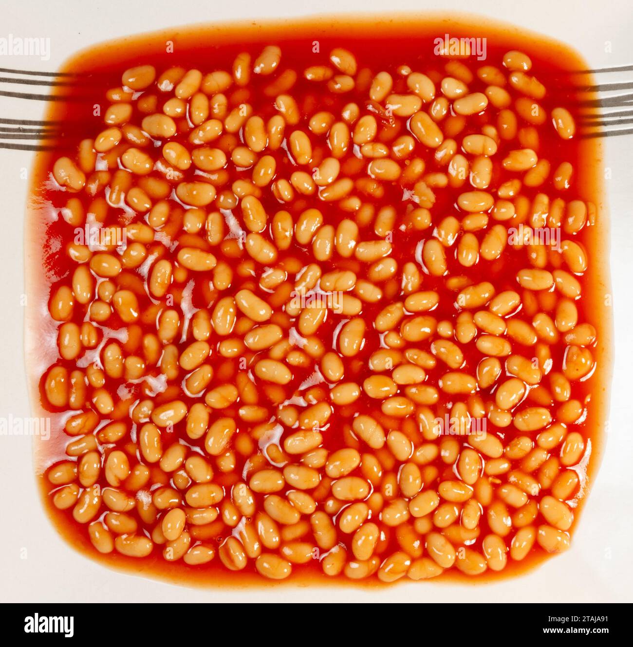 Baked beans on plate Stock Photo - Alamy