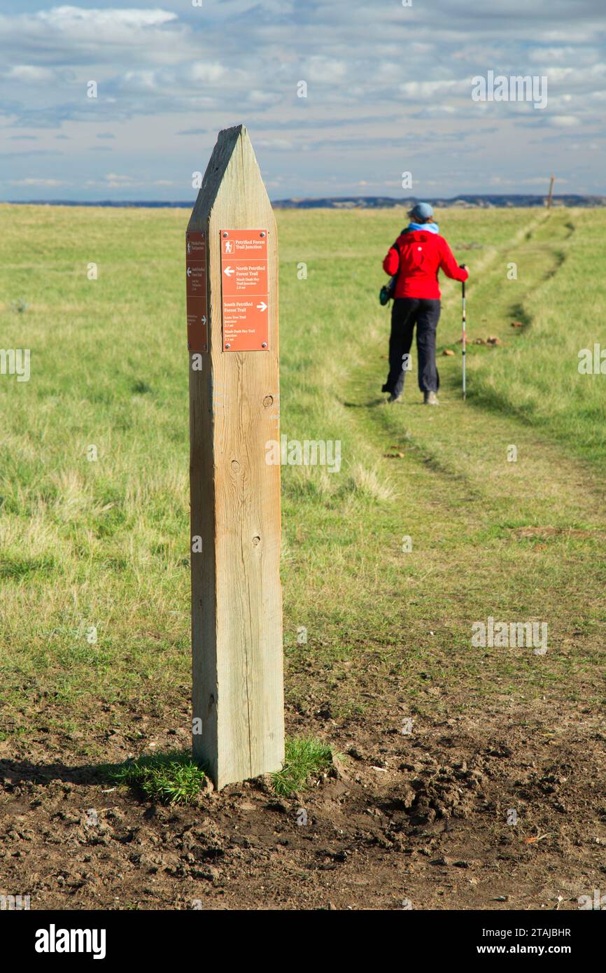 Petrified Forest Trail junction, Theodore Roosevelt National Park-South ...