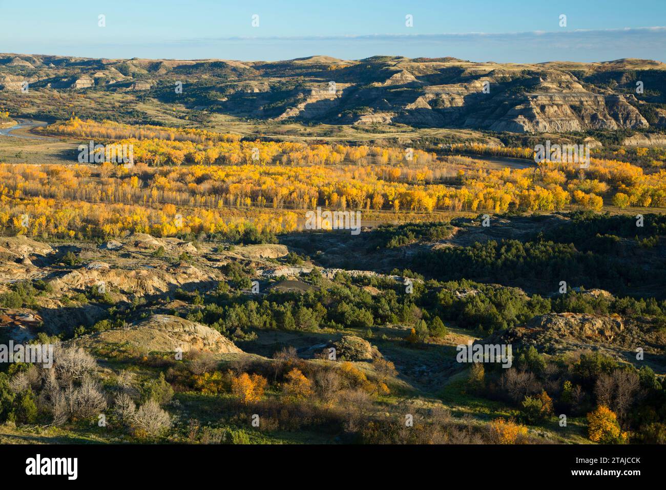 Little Missouri River cottonwoods from Oxbow Overlook, Theodore ...