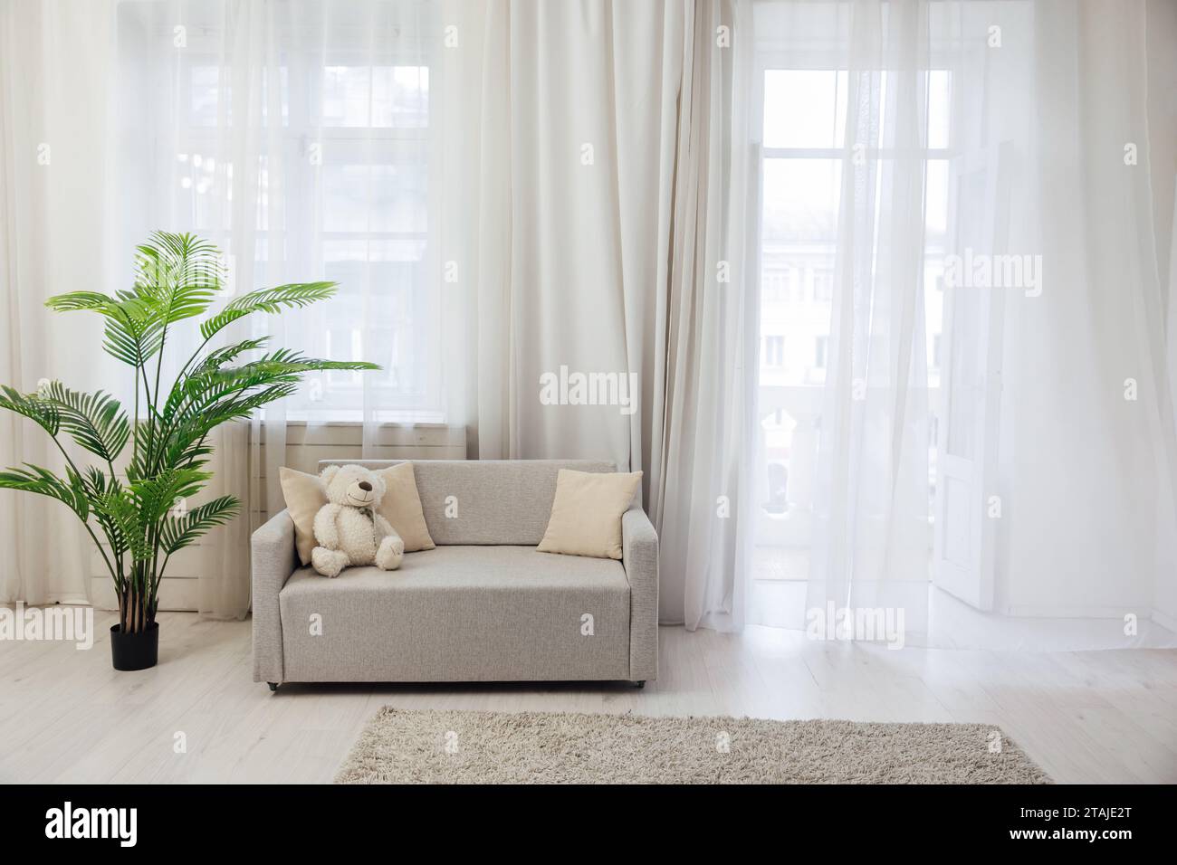 Grey office sofa with green plant in white room interior Stock Photo ...