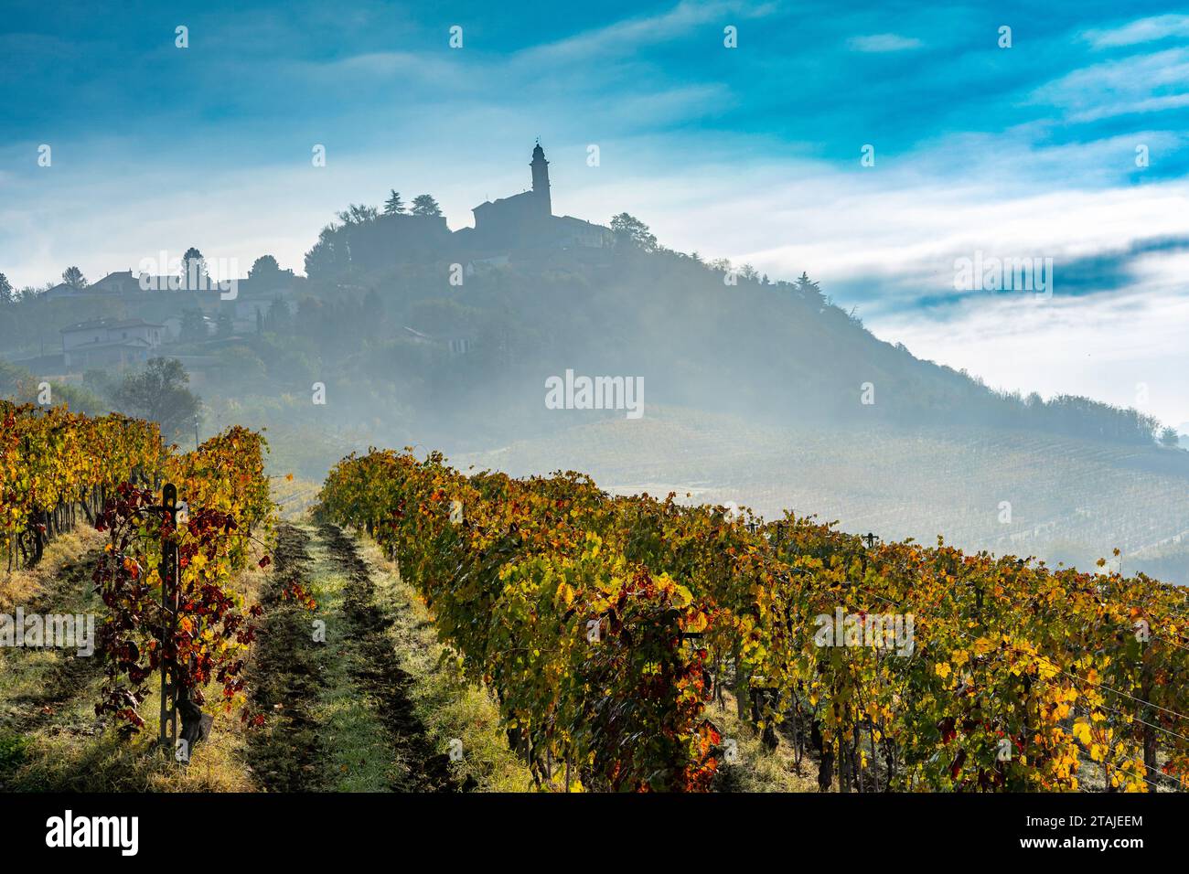 Landscape in langhe piemonte hi-res stock photography and images - Alamy